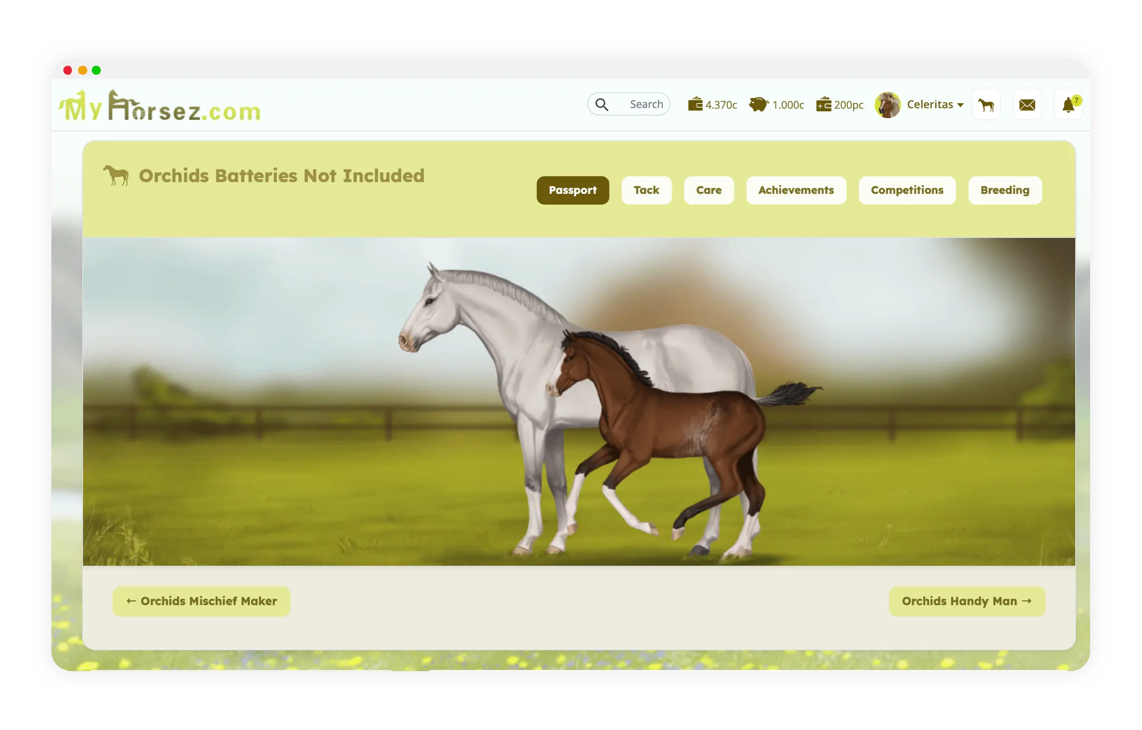 Online Horse Game - My Horsez - Breed horses & join for free! 🐴