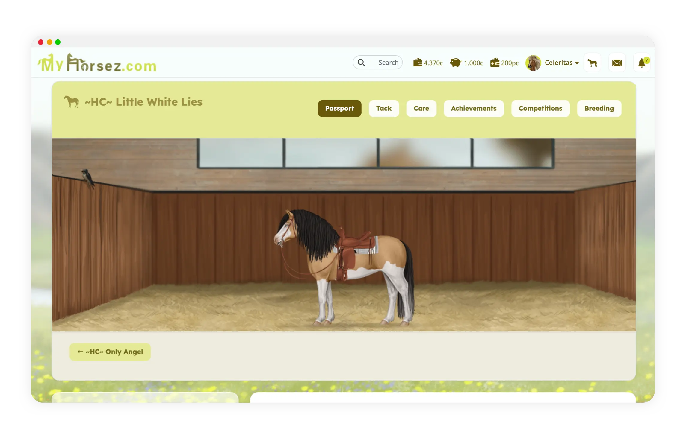 My Horsez: online horse game - Sign up for free